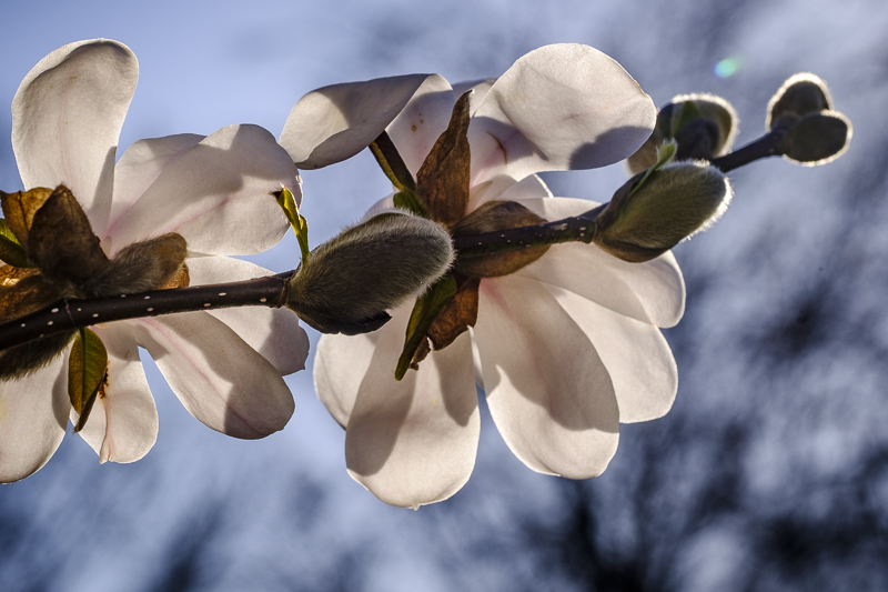 Expectations – spiritphoto
