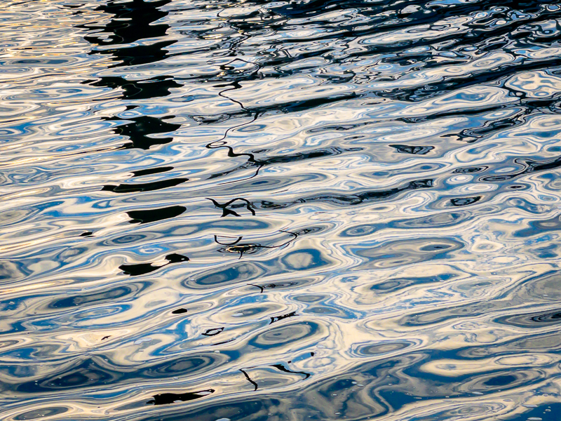 Discernment – spiritphoto