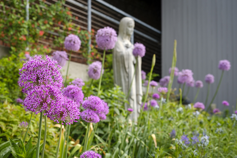 Trinity – spiritphoto